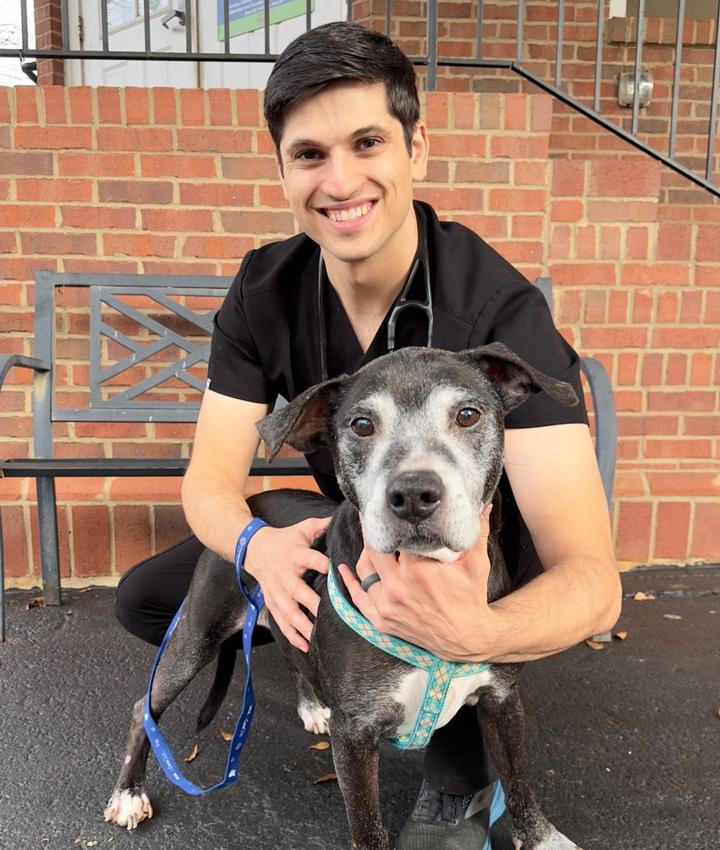 Meet the Team | Crabapple Knoll Veterinary Clinic | Alpharetta